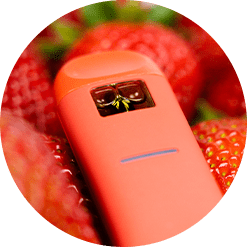 Nuvata • Curated Cannabis Solutions